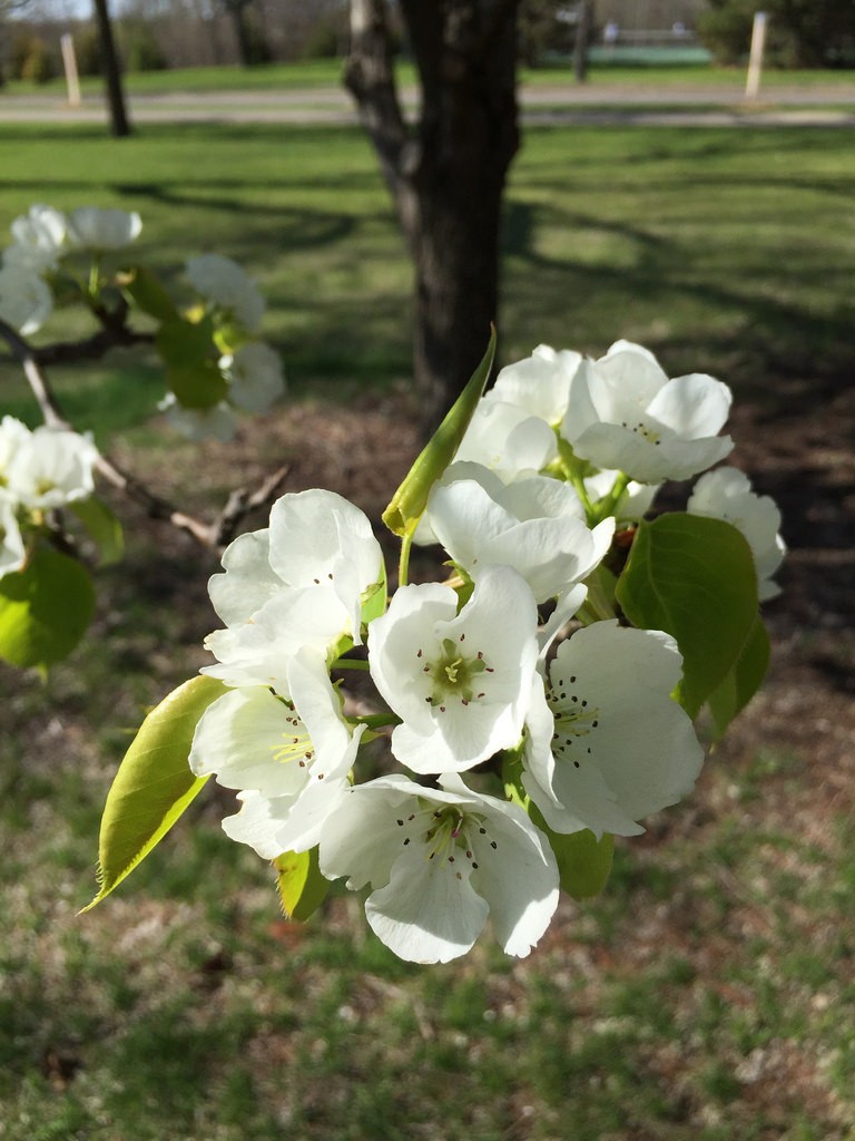 Walk This Way: 31-mile Loop of the Grand Rounds Scenic Byway - Streets.mn