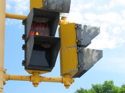 Traffic Signal Timing and Phasing - Streets.mn