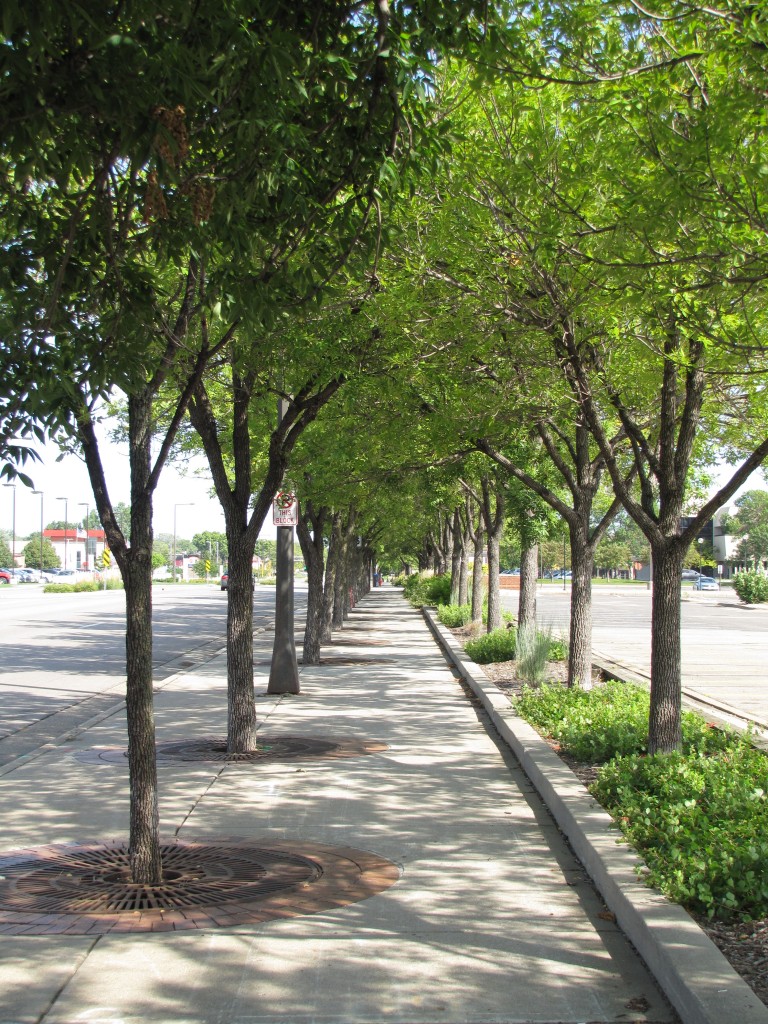 The Past and Present of Bloomington's Oxboro Neighborhood - Streets.mn