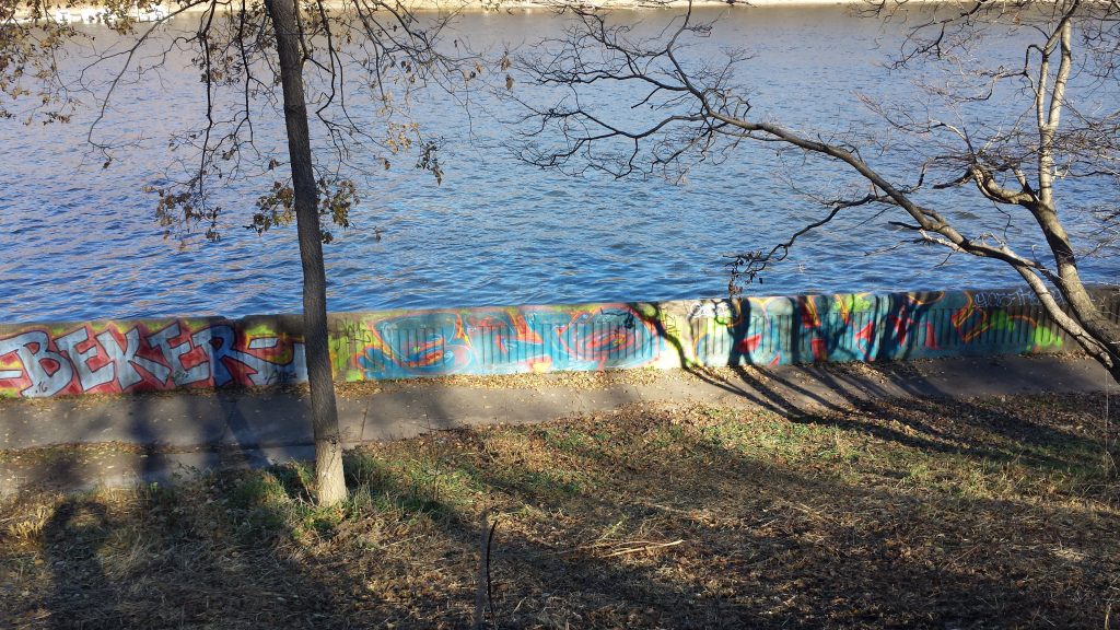 Cedar-Riverside 2: Medical Center, Riverside Park, and Augsburg College ...