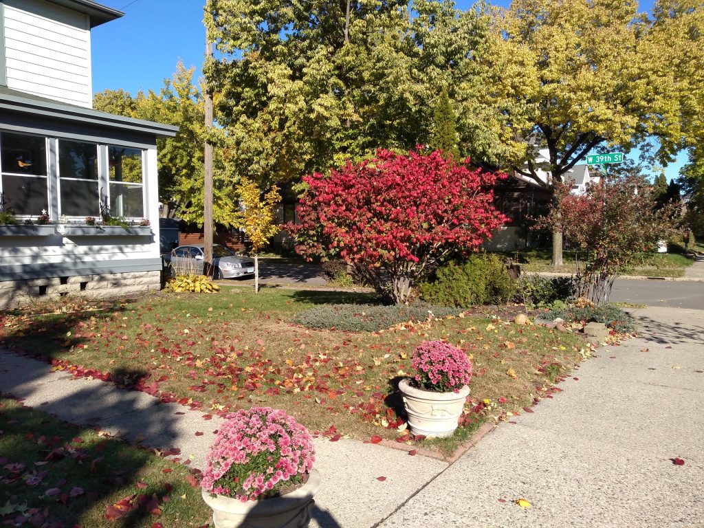 Walking All the Streets of Central King Field - Streets.mn