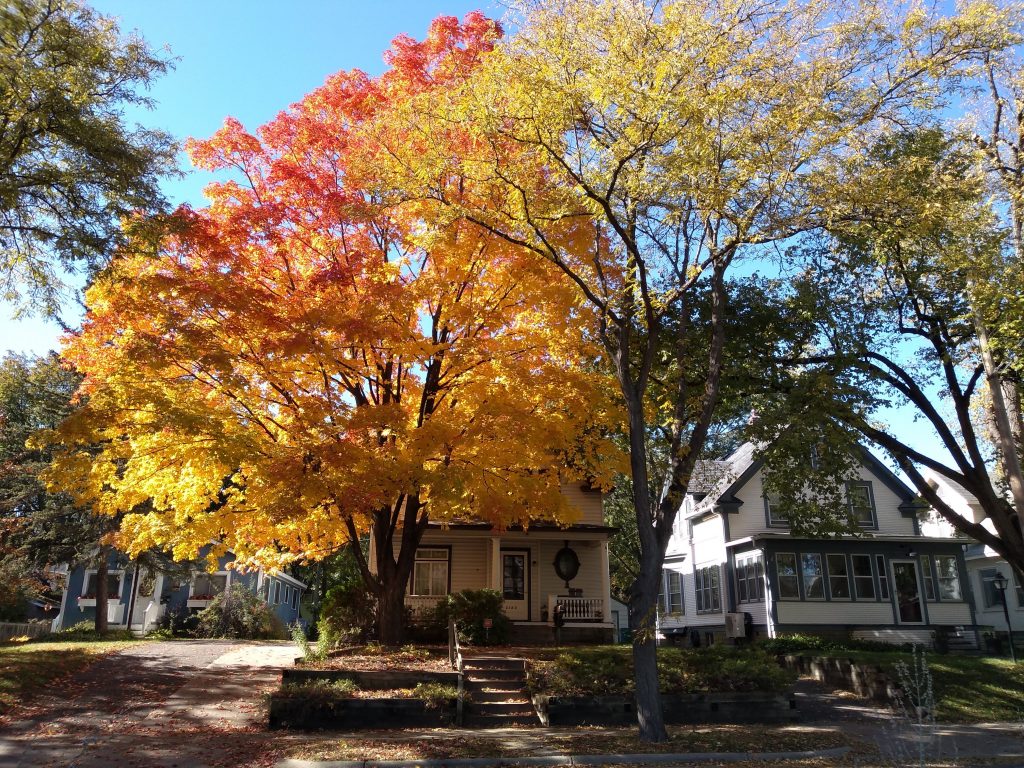 Walking All the Streets of Central King Field - Streets.mn