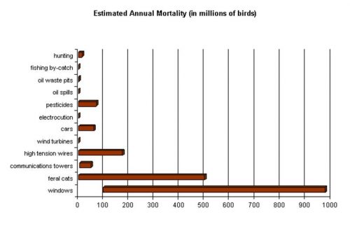 Chart of the Day: Causes of Bird Mortality - Streets.mn