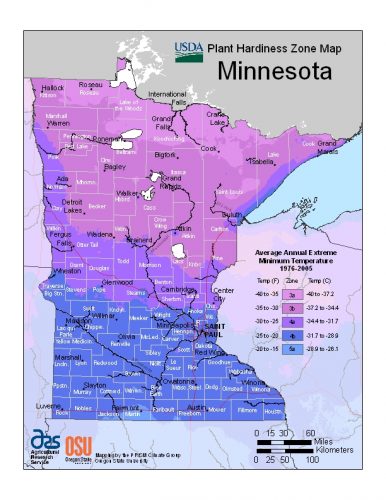 Map Monday: Minnesota Plant Hardiness Zones - Streets.mn
