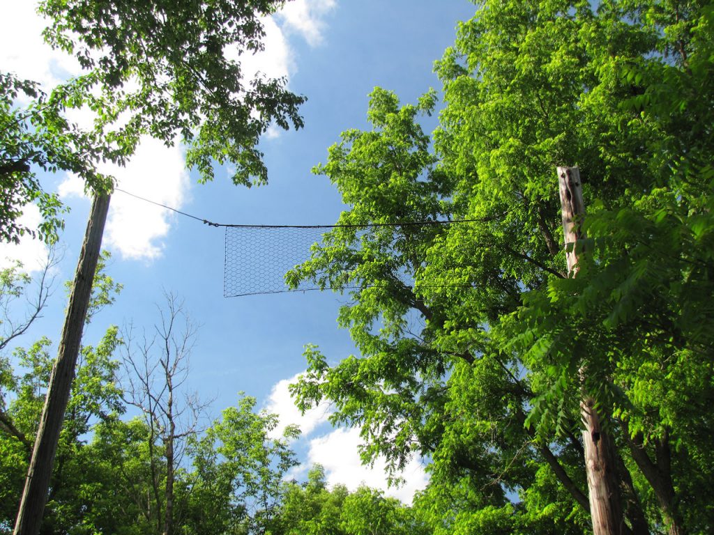 Touring the Root River State Trail, Part 1 - Streets.mn