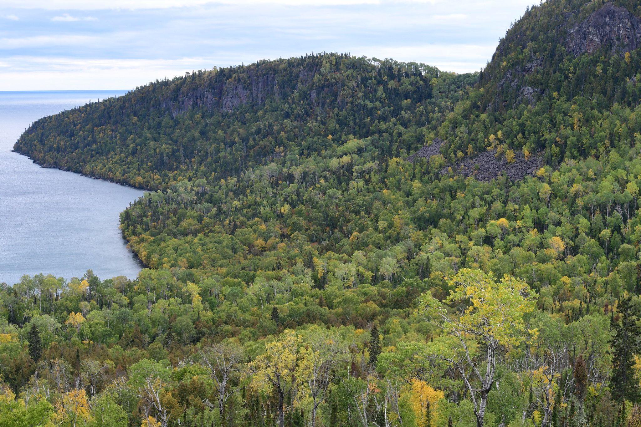 Take it on Down to Highway 61: A Book Review - Streets.mn