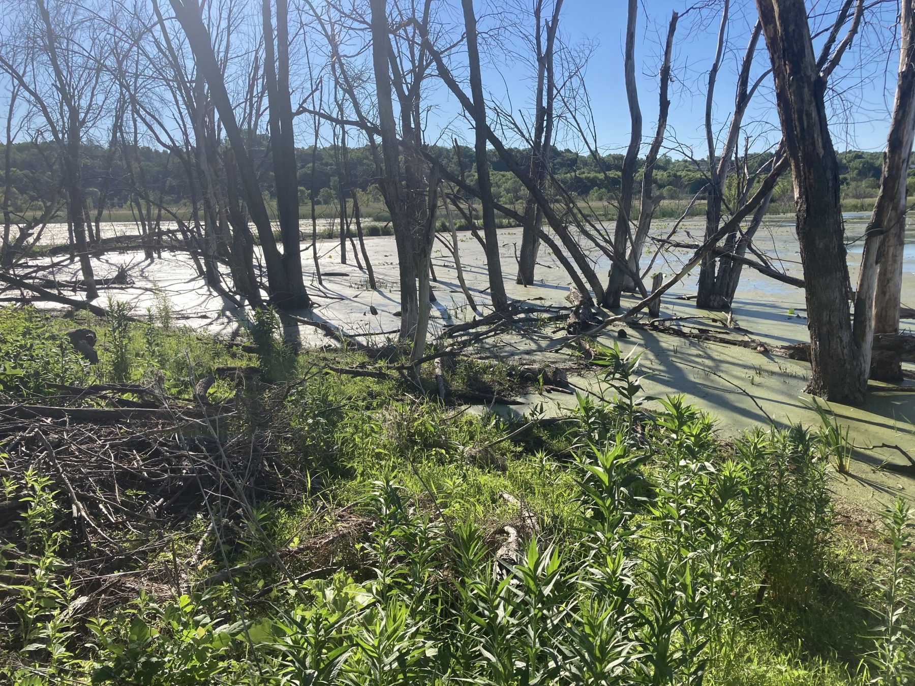 A Visit to Quarry Island - Streets.mn