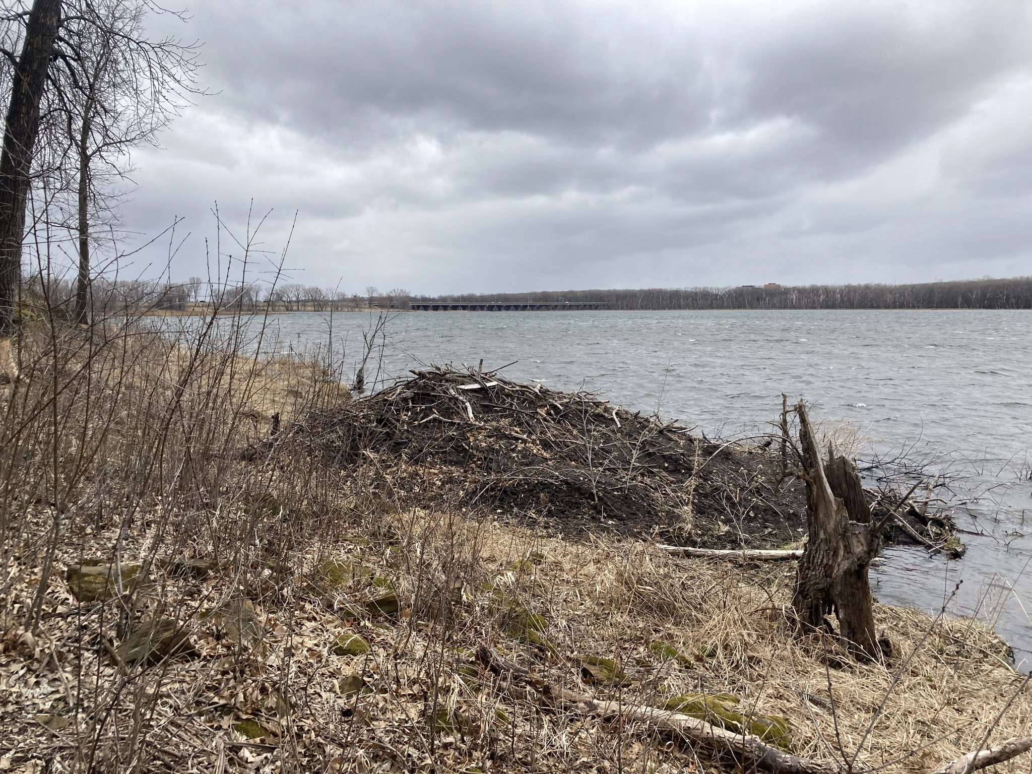 A Visit to Quarry Island - Streets.mn