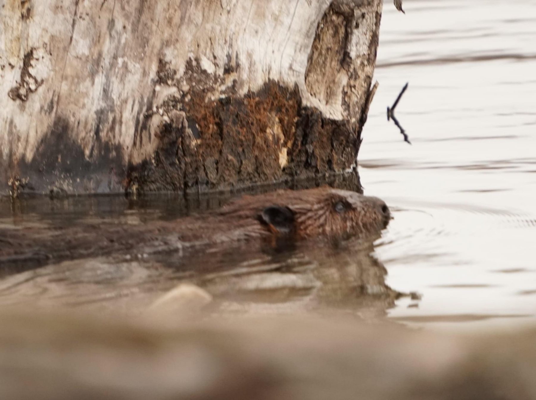 A Visit to Quarry Island - Streets.mn