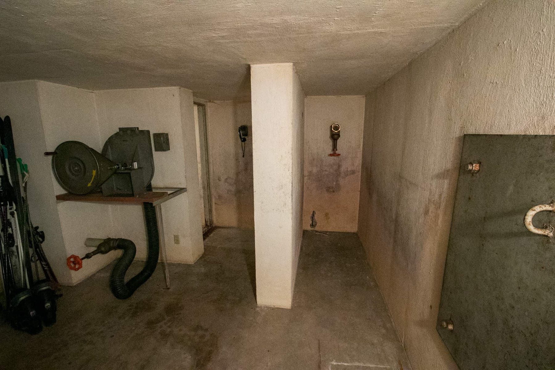 A Surprise Under the Basement - Streets.mn