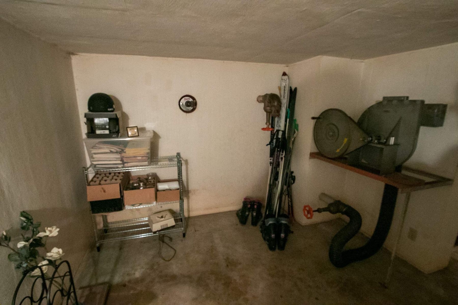 A Surprise Under the Basement - Streets.mn