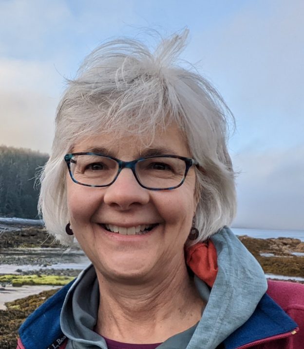 I-94 in the Union Park District: A History of Prioritizing Speed Over ...