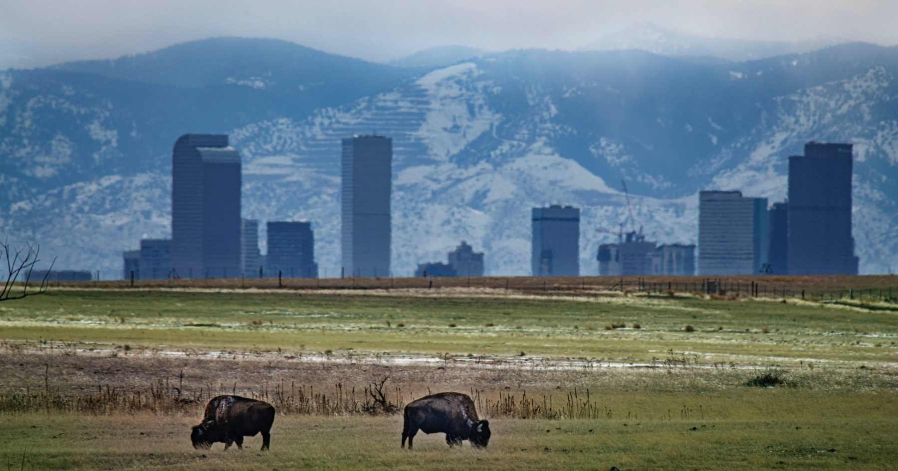 National Links: Sprawl vs Density in Colorado - Streets.mn