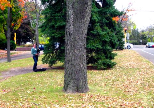 Bring Back the Historic Character of Summit Avenue - Streets.mn