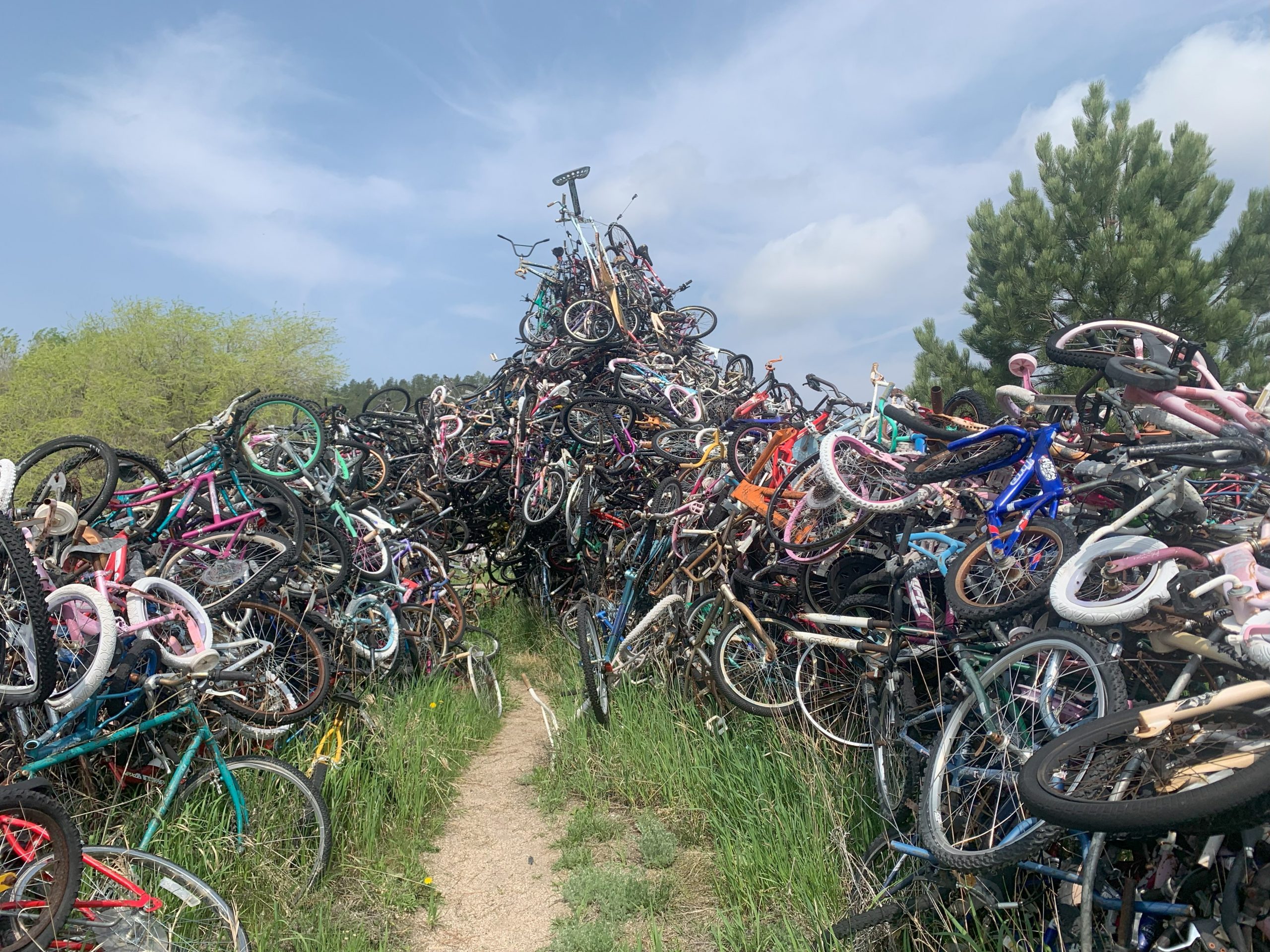 Looking for a Summer Biking Vacation? Check Out South Dakota's ...