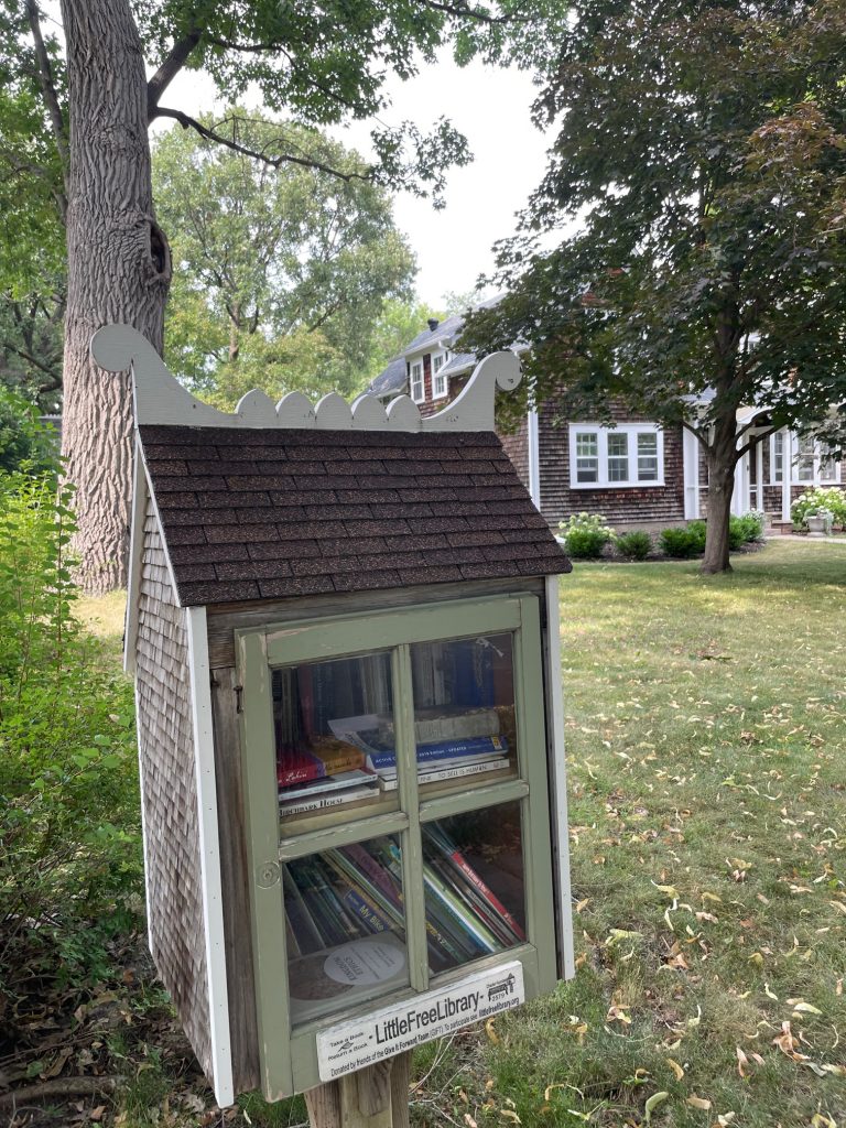 Northfield's Little Free Libraries Are Abundant, and Community ...