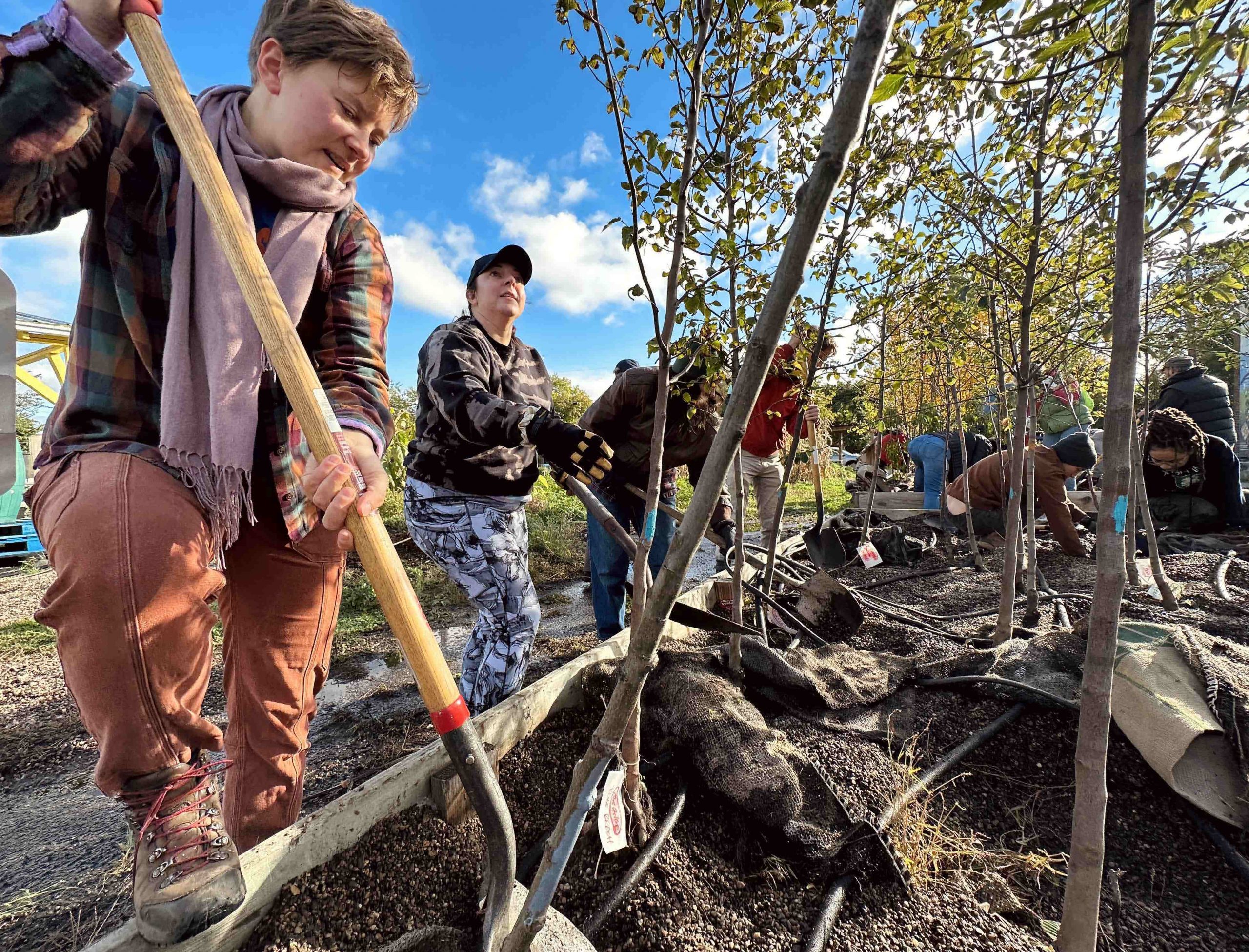 '1,000 Trees for Frogtown' Warms Hearts and Cools the Climate - Streets.mn