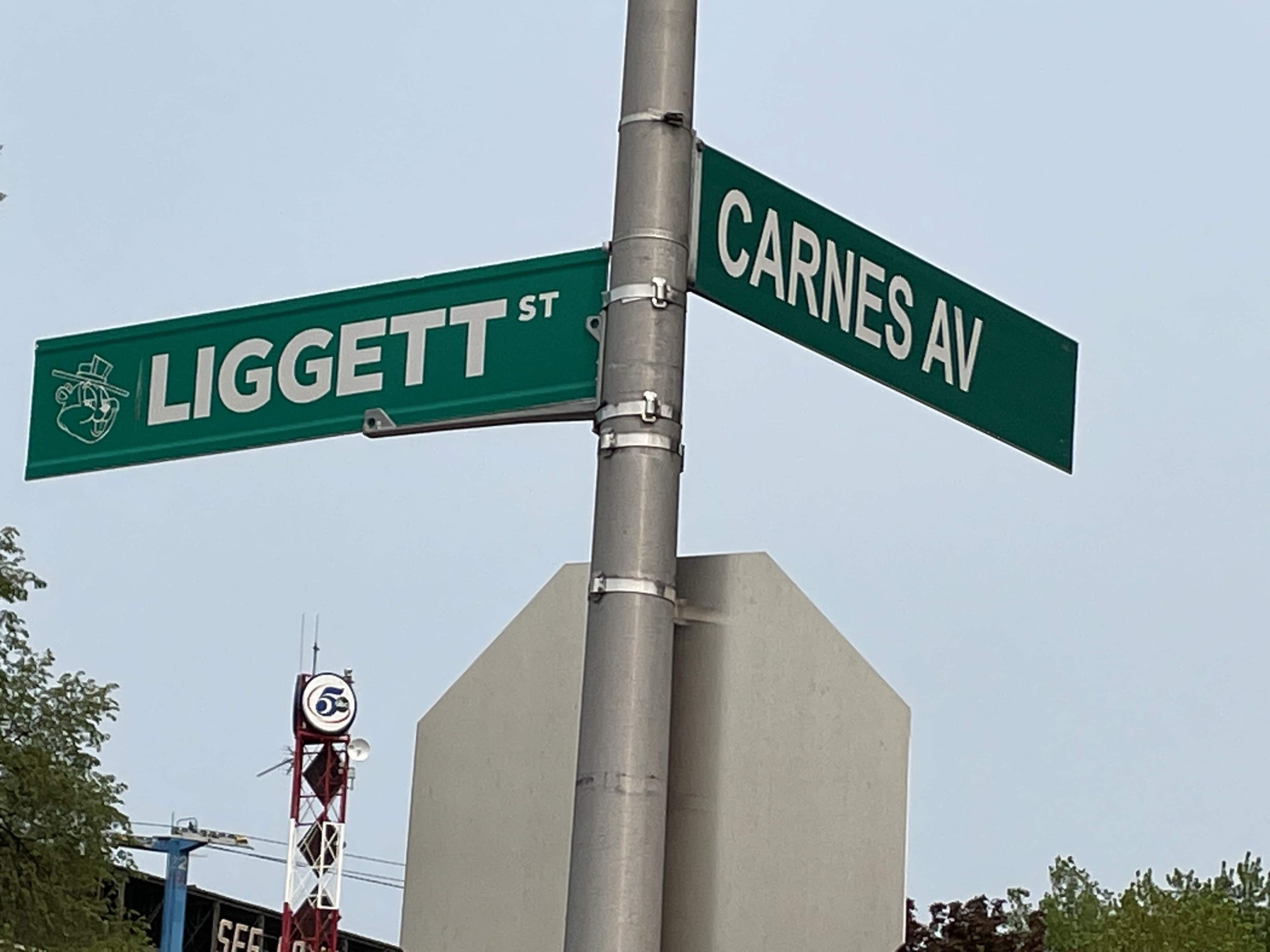 Street Name Signs In Quasi-Public Areas - Streets.mn